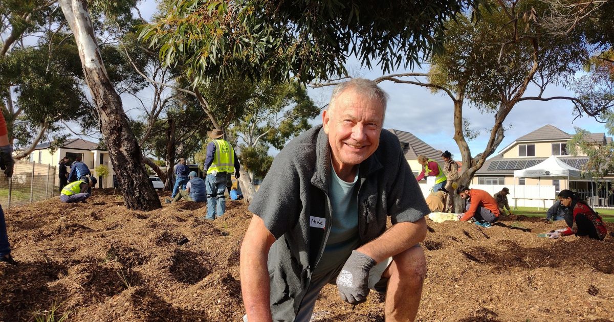 $1 million available for projects to transform local environments ...