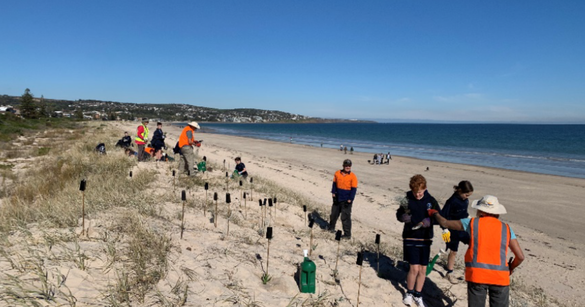Grassroots Grants | Green Adelaide