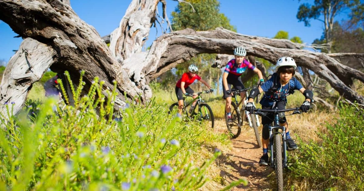 Enter now to win free tickets to Adelaide’s Nature Festival | Green ...