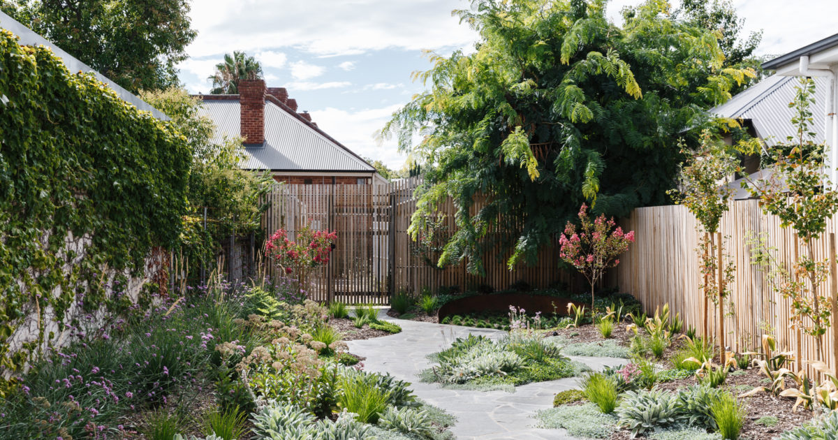 New guide launched to help boost Adelaide’s new home greenery | Green ...