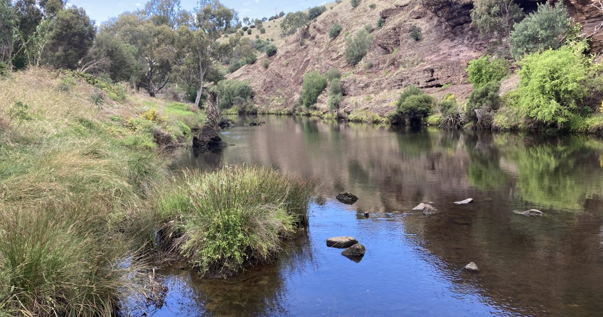 Get to know 8 rivers in Adelaide that aren’t the Torrens | Green Adelaide