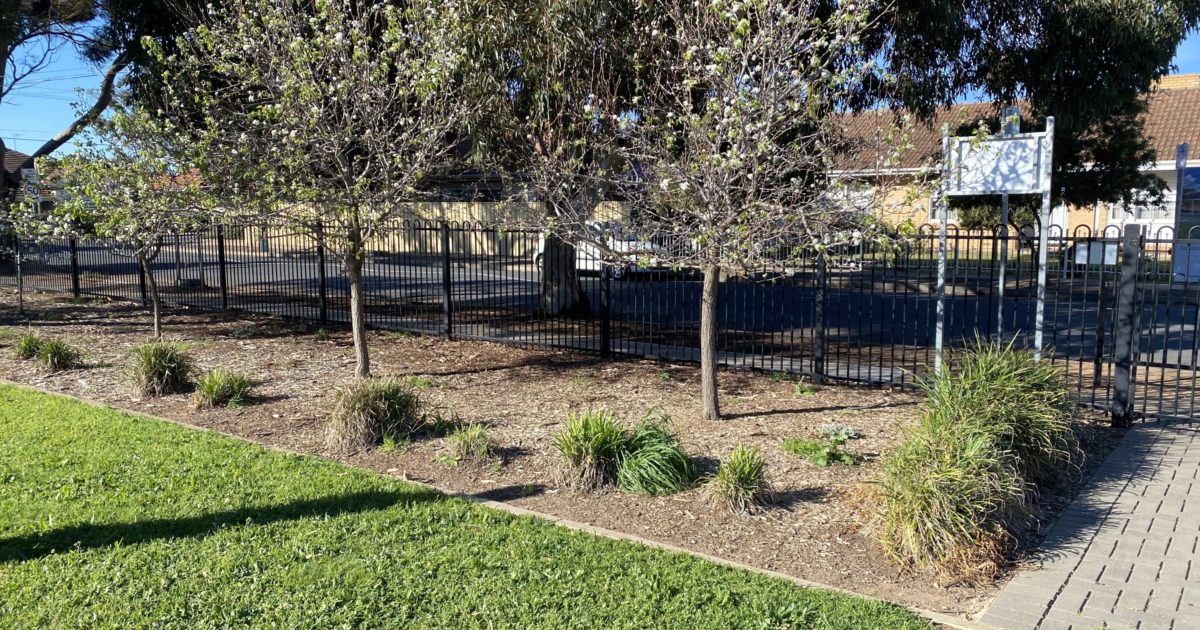 $1 million invested in practical community green projects | Green Adelaide