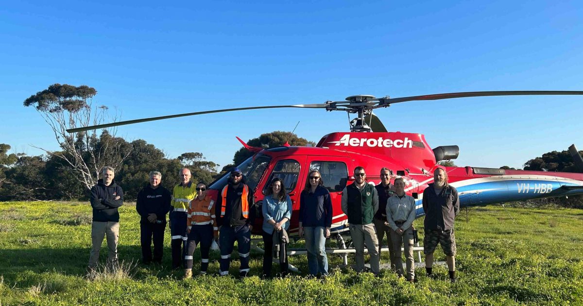Nesting platform helicoptered in to Onkaparinga to protect endangered ...