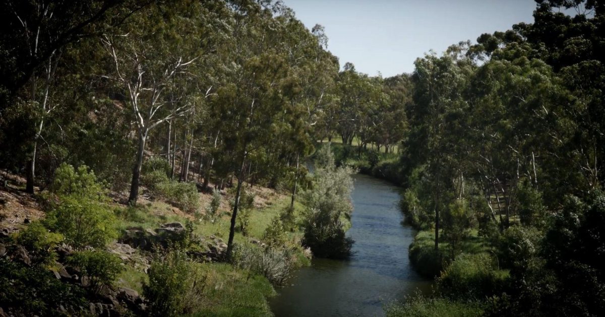 6 signs biodiversity and water quality have improved along the River ...