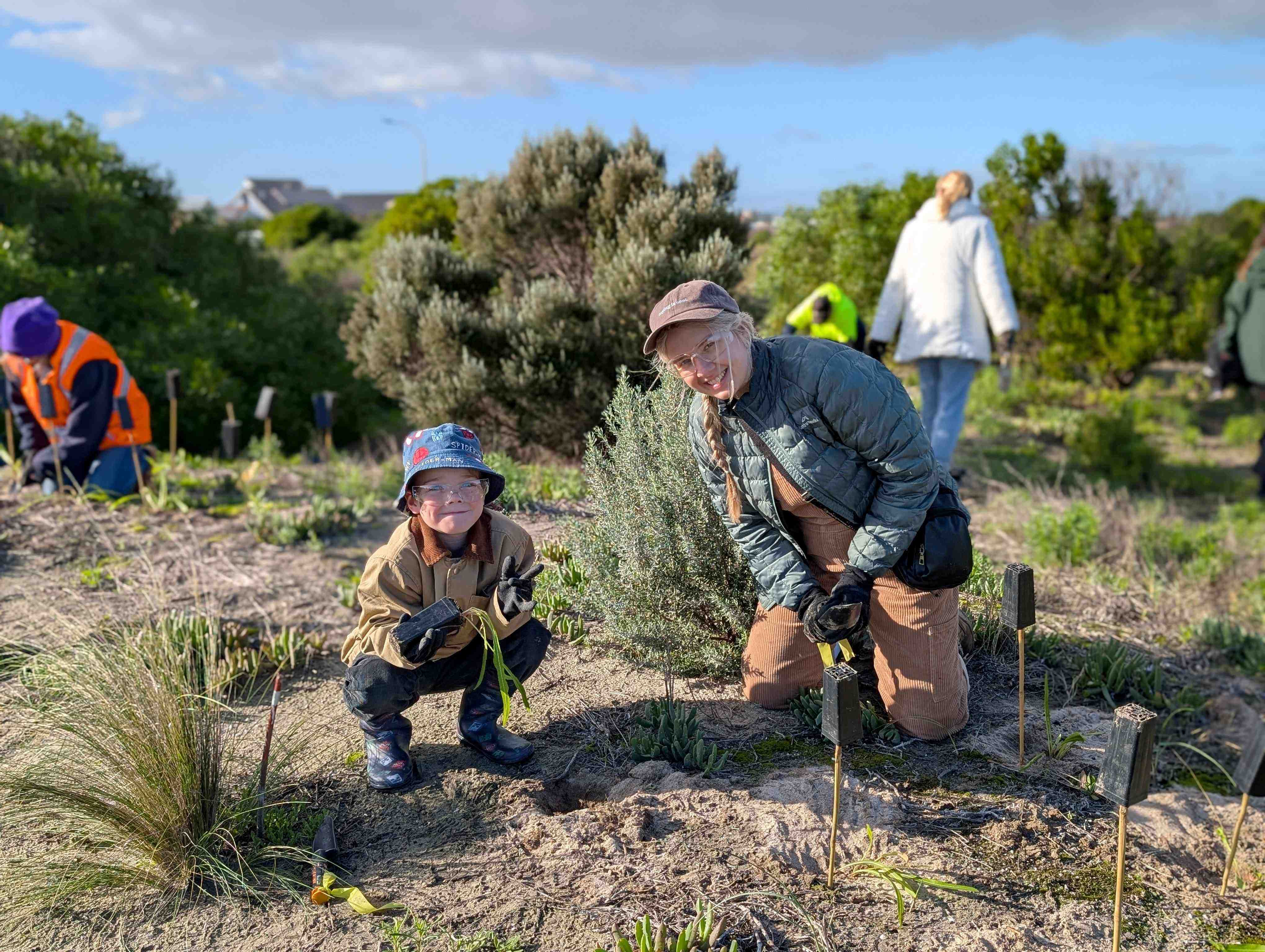 Boosting biodiversity with rare coastal plants | Green Adelaide