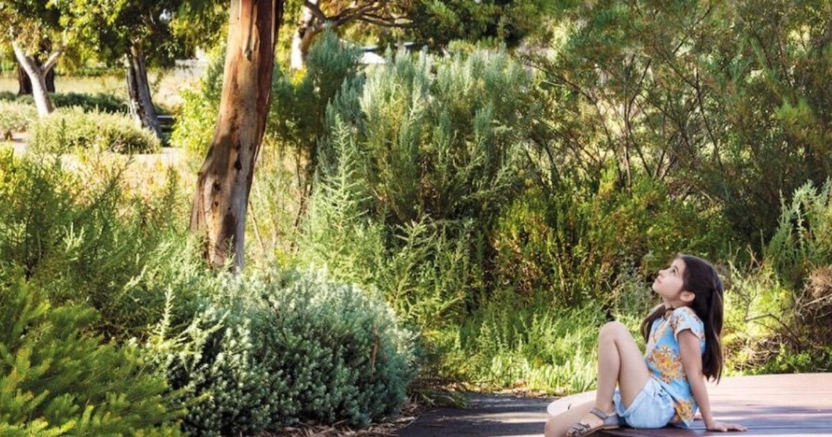 Our area | Green Adelaide