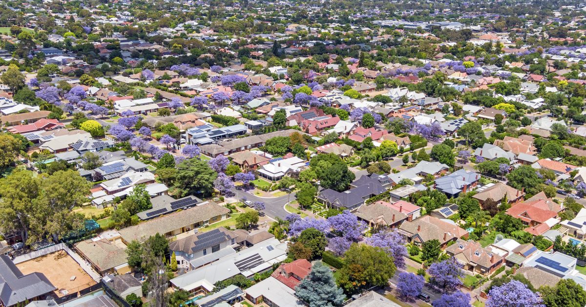 Strengthened tree canopy target | Green Adelaide