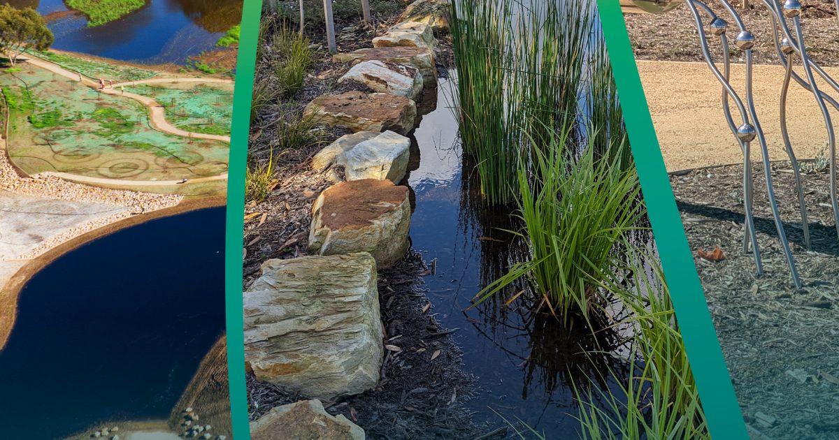 Cooler, Greener, Wilder Grants | Green Adelaide