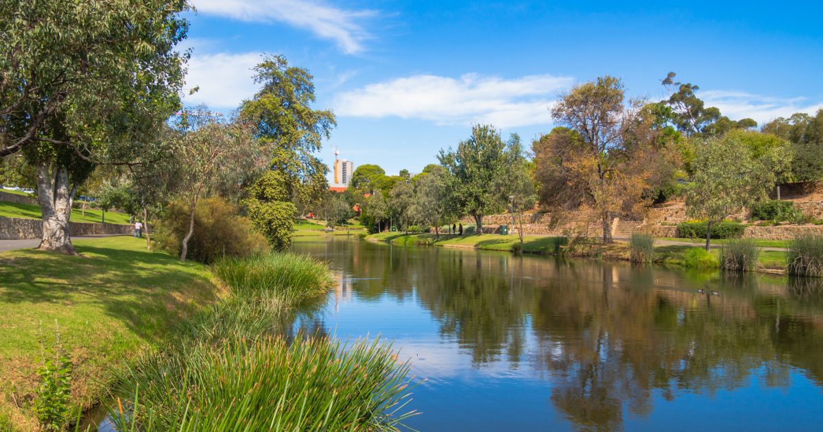 Flow event underway to control Torrens Lake… | Green Adelaide