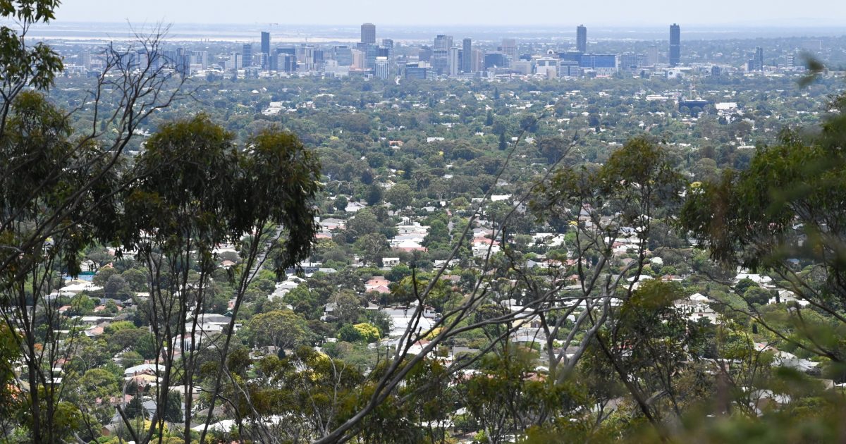 Urban Heat And Tree Canopy Mapping Green Adelaide