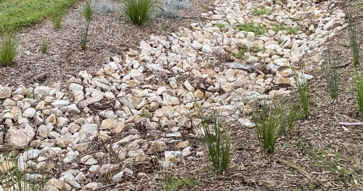 Applications open for new grants program to green… | Green Adelaide