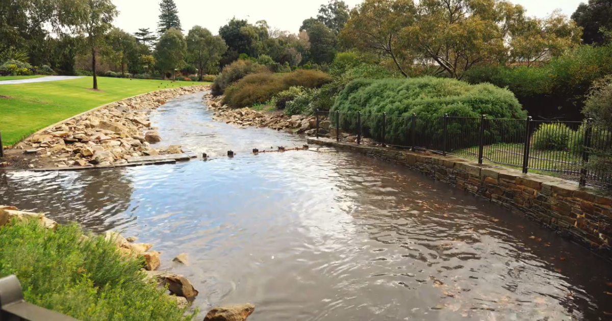 Find out how we keep rubbish out of Adelaide’s… | Green Adelaide