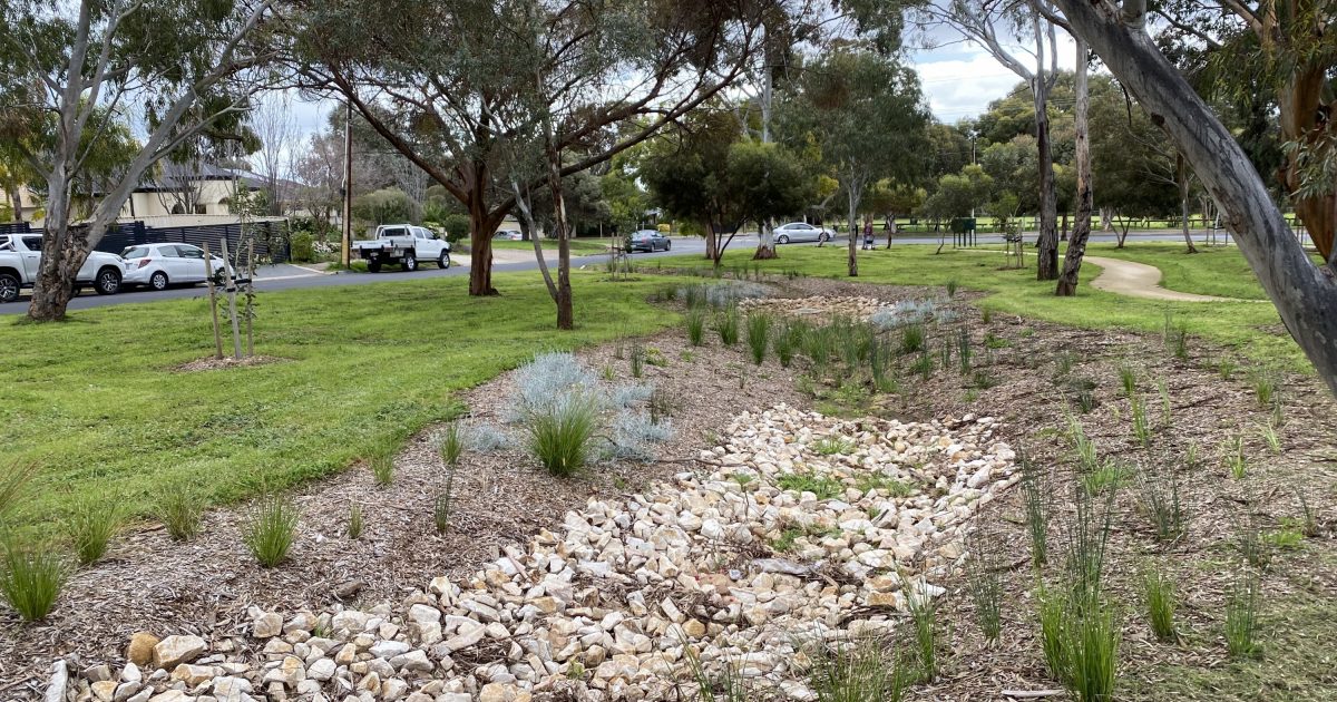 Everything you need to know about a new biodiversity… | Green Adelaide