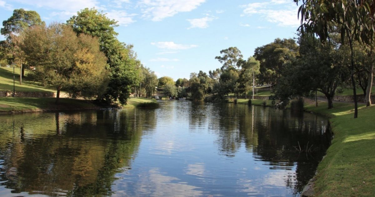 Annual summer Torrens Lake algae control effort… | Green Adelaide