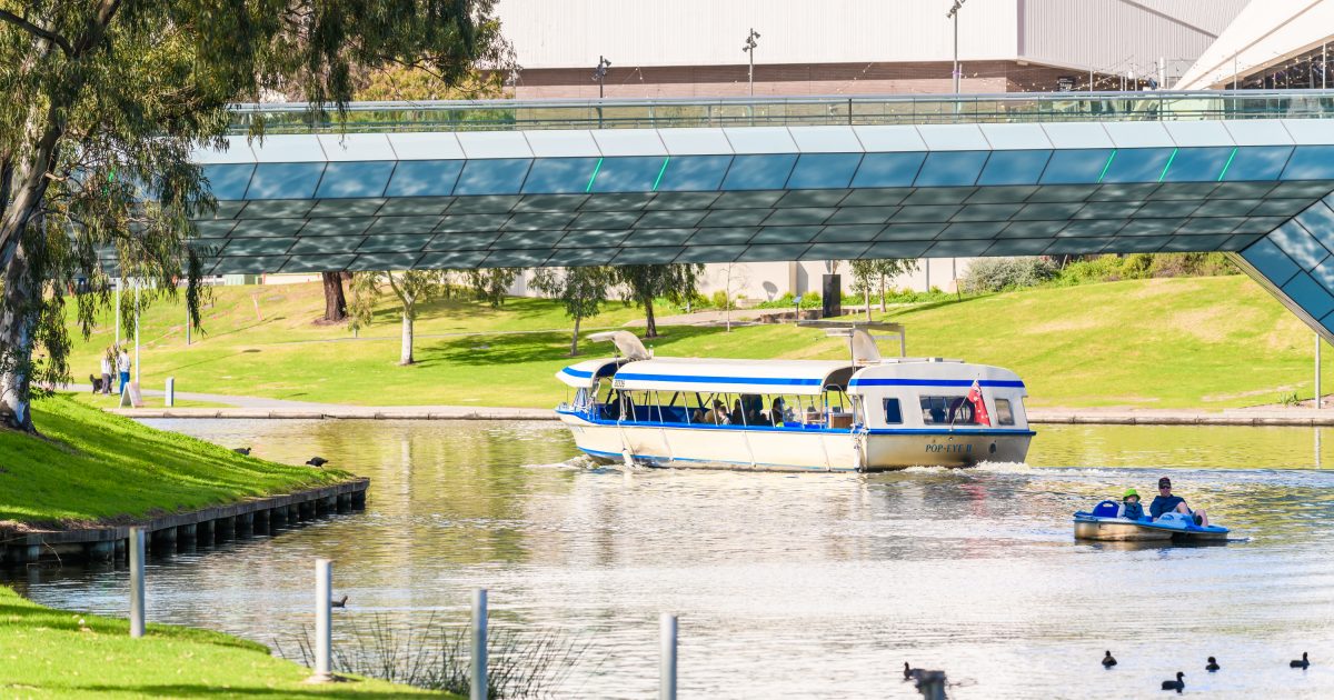 Annual summer Torrens Lake algae control effort… | Green Adelaide