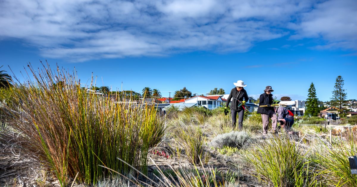 Pledge your support for Adelaide to become a… | Green Adelaide