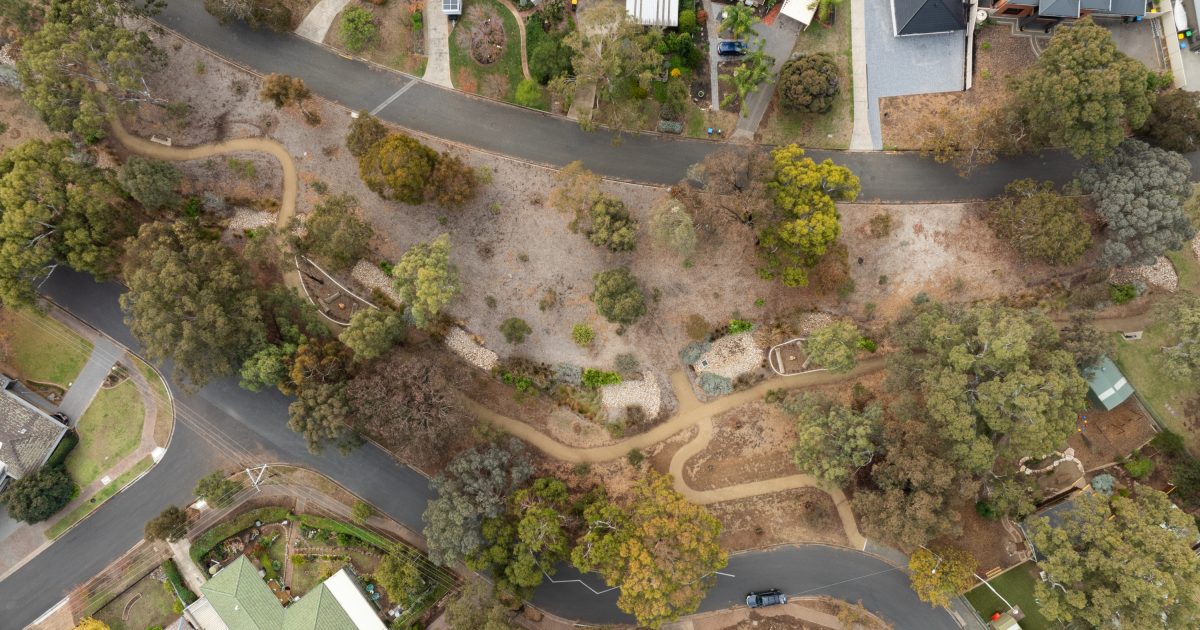 Cooler, Greener, Wilder Grants | Green Adelaide