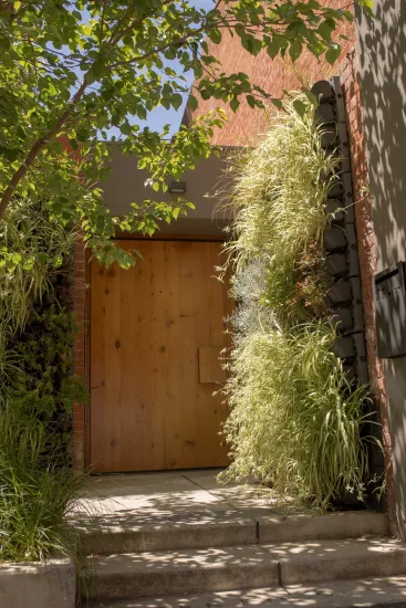 Urban Greening Strategy for metro Adelaide | Green Adelaide