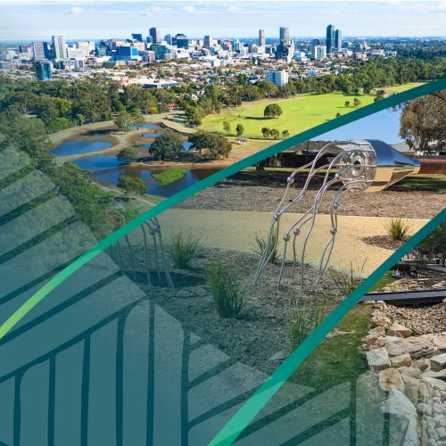 Cooler, Greener, Wilder | Green Adelaide